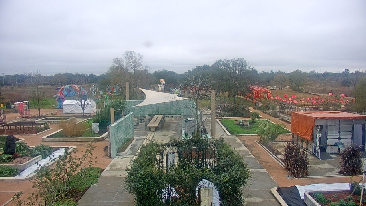 Houston Botanic Garden Live Weather Cam - 24 Hr Weather Replay ...