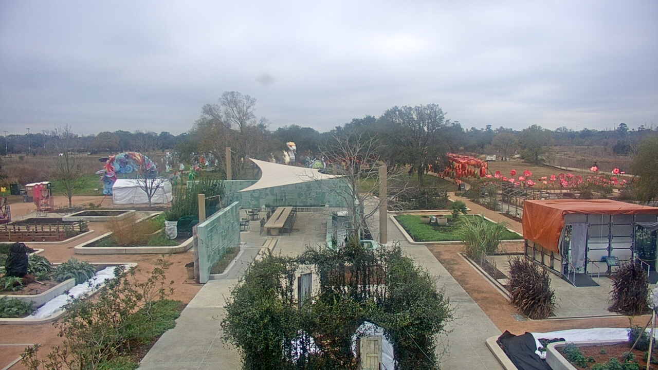 Houston Botanic Garden Live Weather Cam - 24 Hr Weather Replay ...
