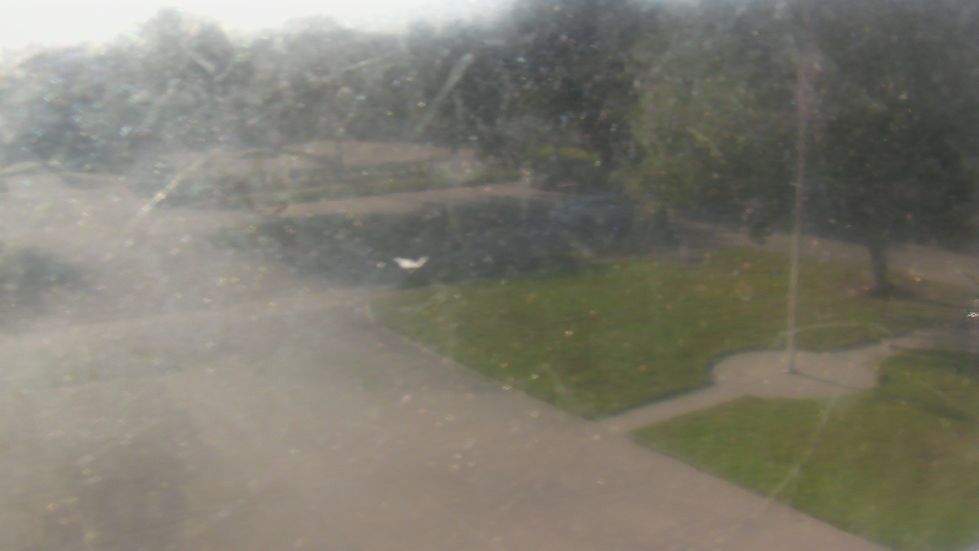 City of League City Fire Station 4 Live Weather Cam - 24 Hr Weather ...