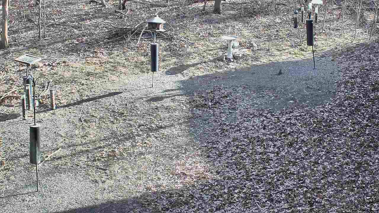 Cincinnati Nature Center Live Weather Cam - 24 Hr Weather Replay ...