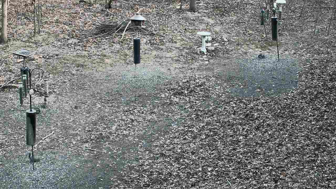 Cincinnati Nature Center Live Weather Cam - 24 Hr Weather Replay ...