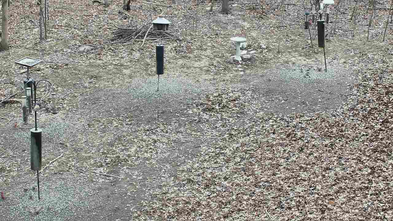 Cincinnati Nature Center Live Weather Cam - 24 Hr Weather Replay ...