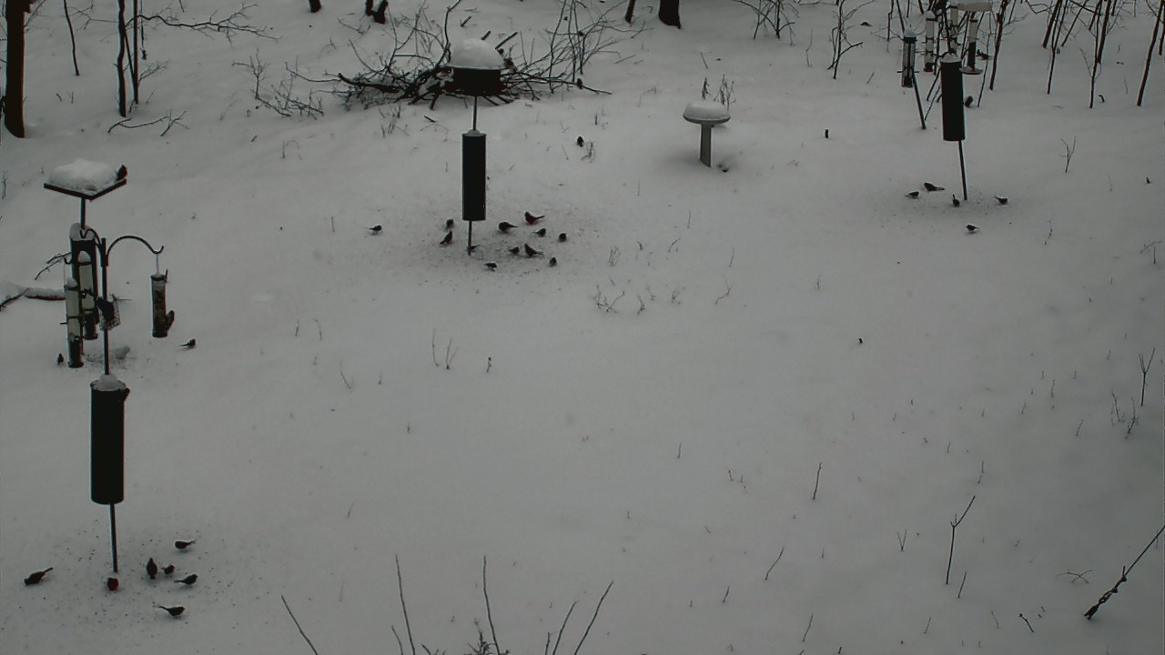 Cincinnati Nature Center Live Weather Cam - 24 Hr Weather Replay ...