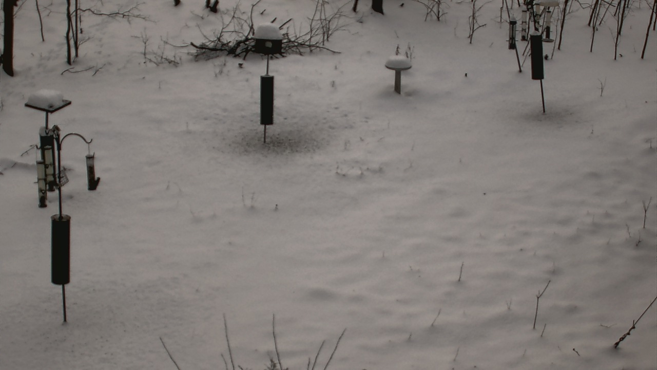 Cincinnati Nature Center Live Weather Cam - 24 Hr Weather Replay ...