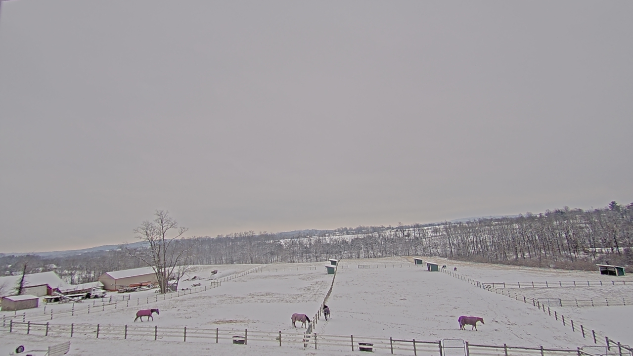 Orchard Hill Live Weather Cam - 24 Hr Weather Replay - Hummelstown ...