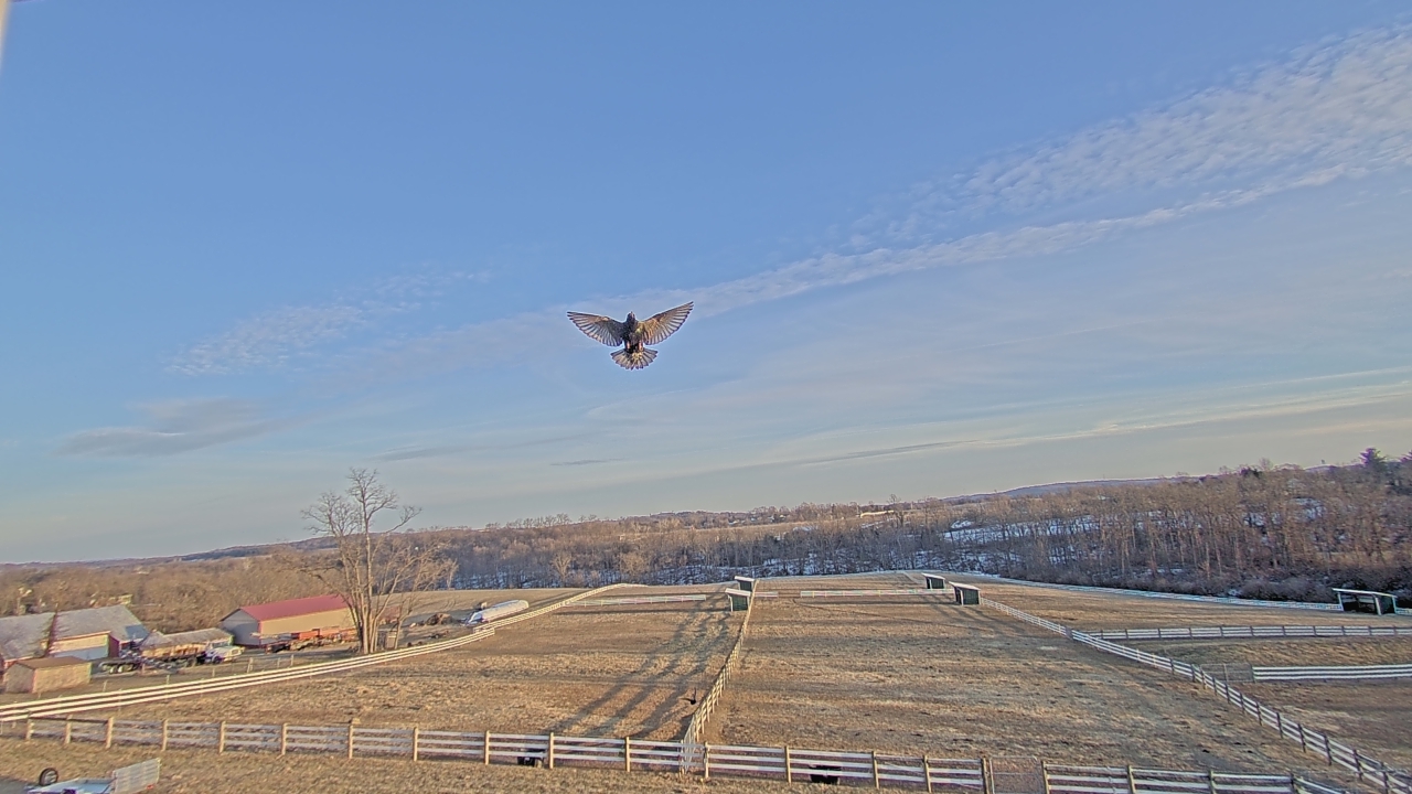 Orchard Hill Live Weather Cam - 24 Hr Weather Replay - Hummelstown ...