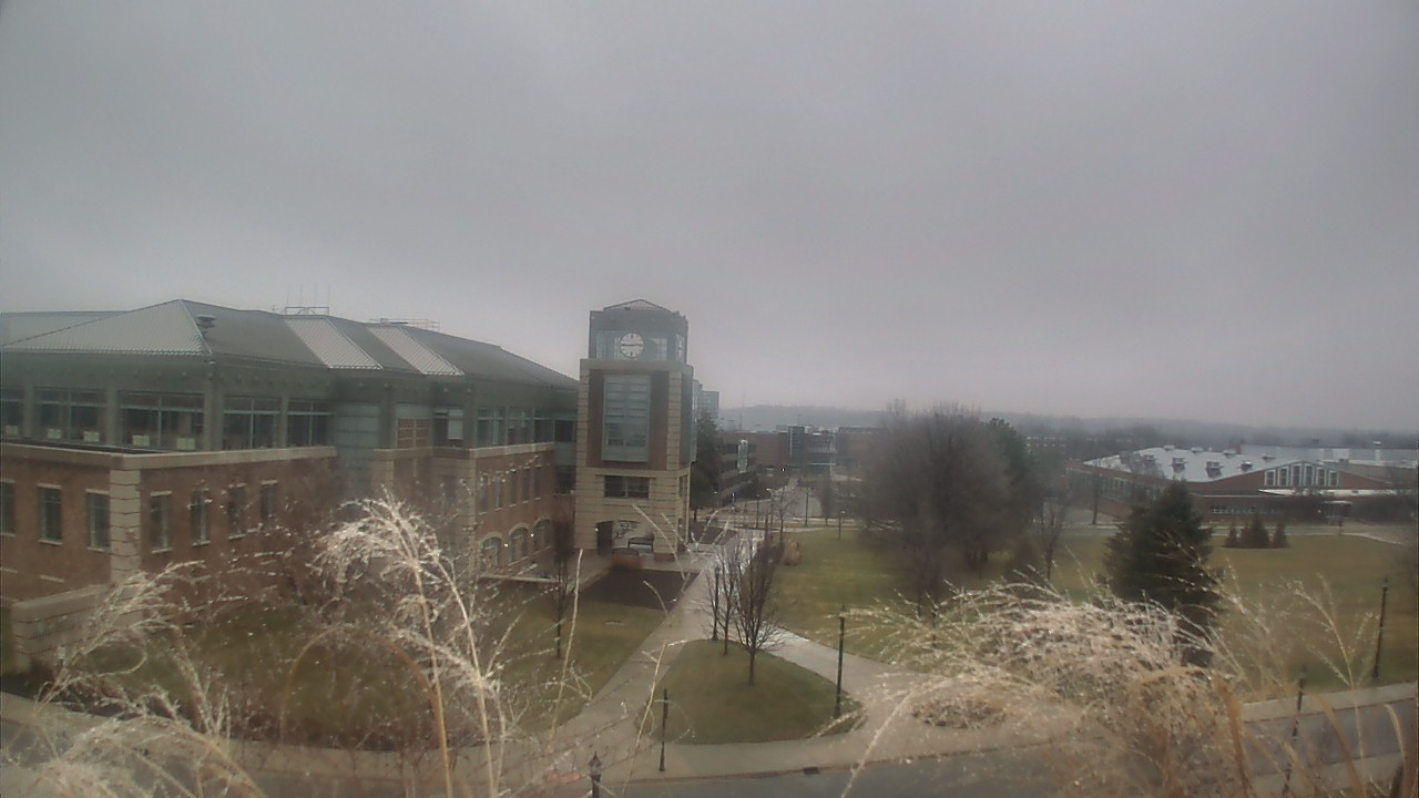 Ann Arbor, MI Live Weather Cameras & Webcams | WeatherBug