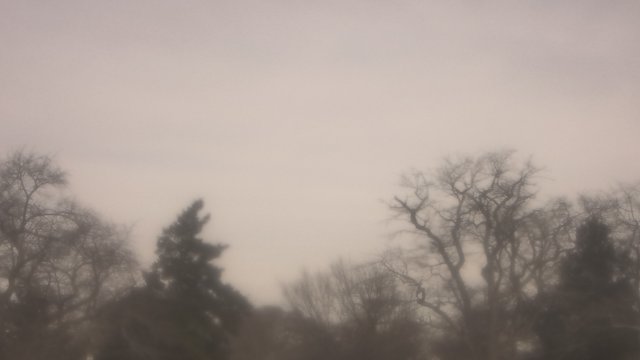 Saint Peter School Live Weather Cam - 24 Hr Weather Replay - Point ...