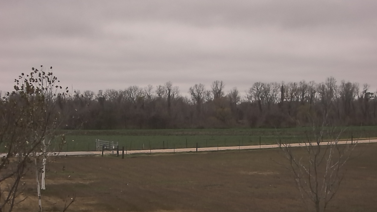 Long Acres Ranch Live Weather Cam - 24 Hr Weather Replay - Richmond ...